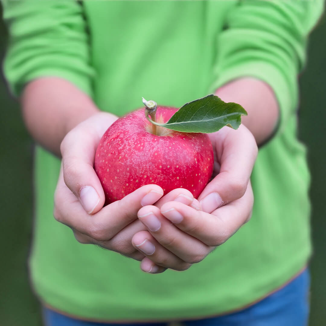 Annual Giving Day | Red Apple Day - Bowel Cancer Australia